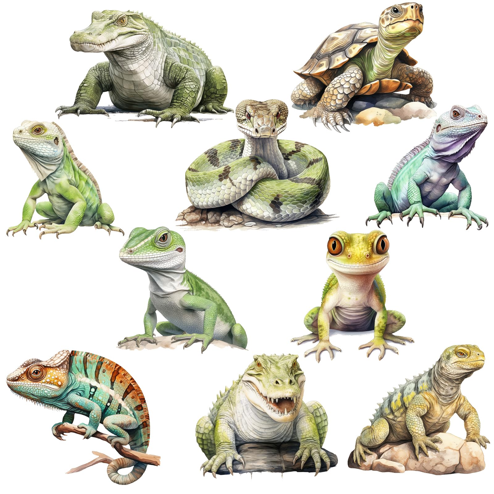 Amazon.com: Reptile Party Decorations - Reptile Cutouts - Animal Theme ...