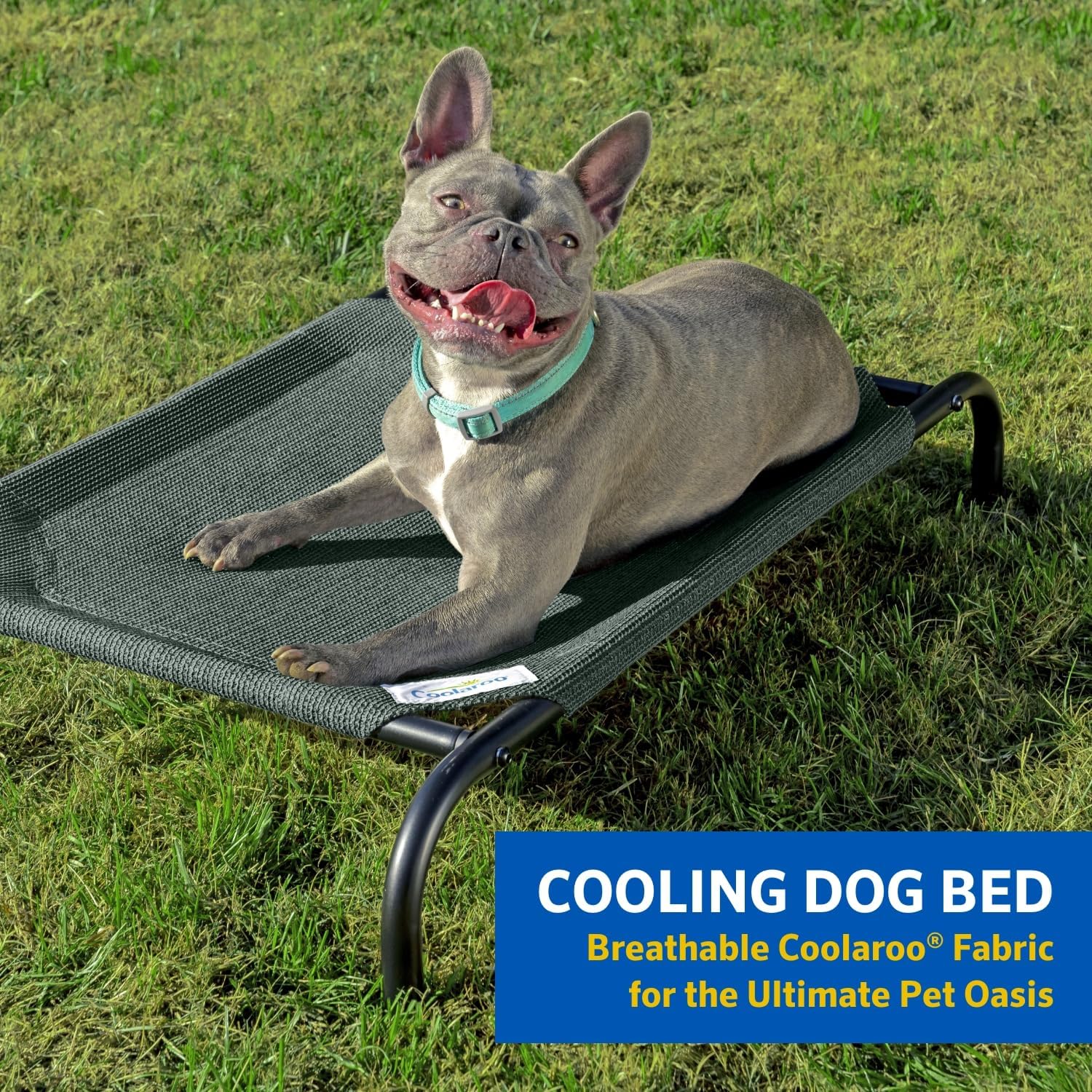 Snapklik.com : Gale Pacific Coolaroo The Original Cooling Elevated Pet Bed