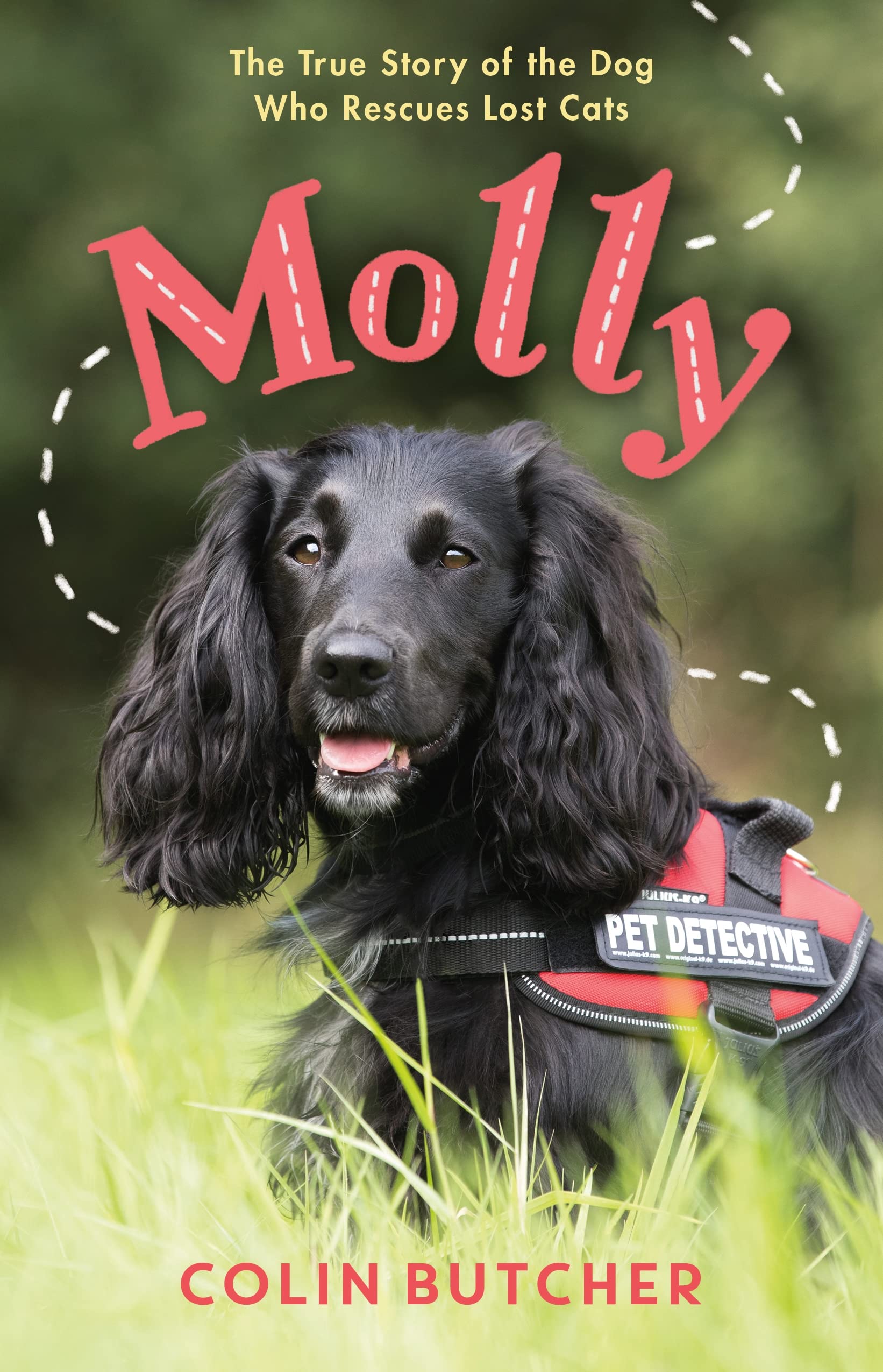 Molly: The True Story of the Dog Who Rescues Lost Cats: Butcher, Colin ...