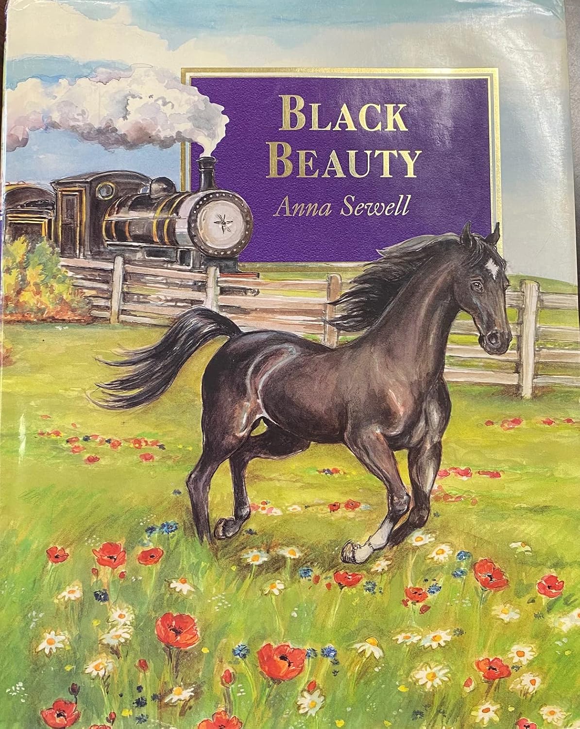 Black Beauty: Sewell, Anna: 9781405416757: Amazon.com: Books