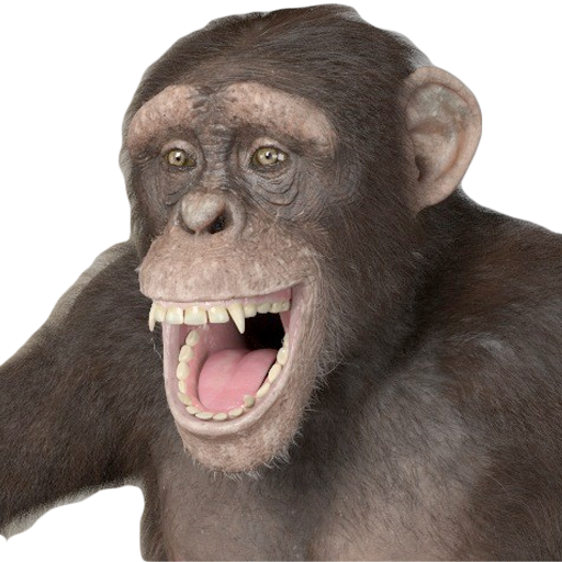 Real Talking Monkey - App on Amazon Appstore