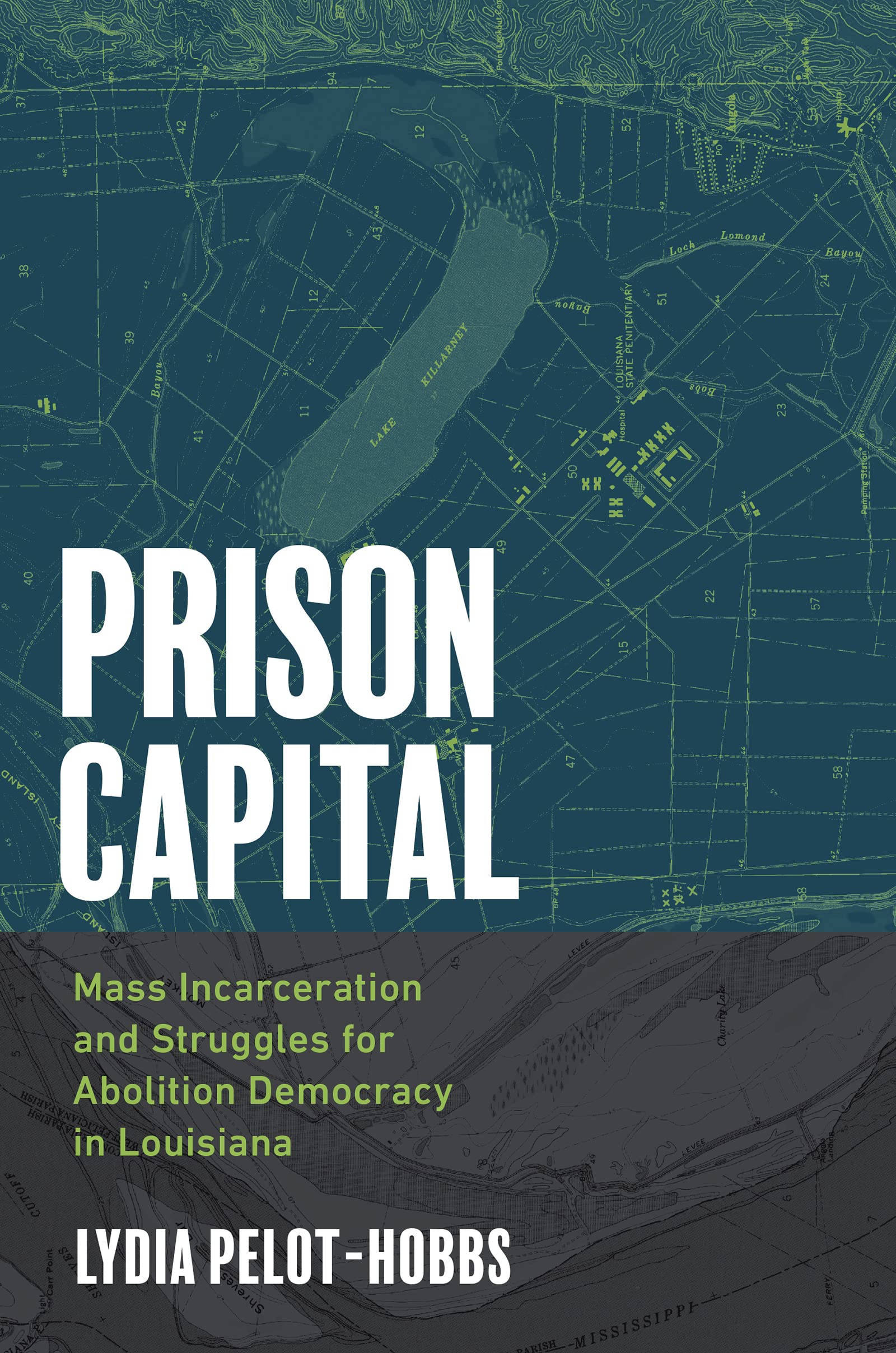 Prison Capital: Mass Incarceration and Struggles for Abolition ...