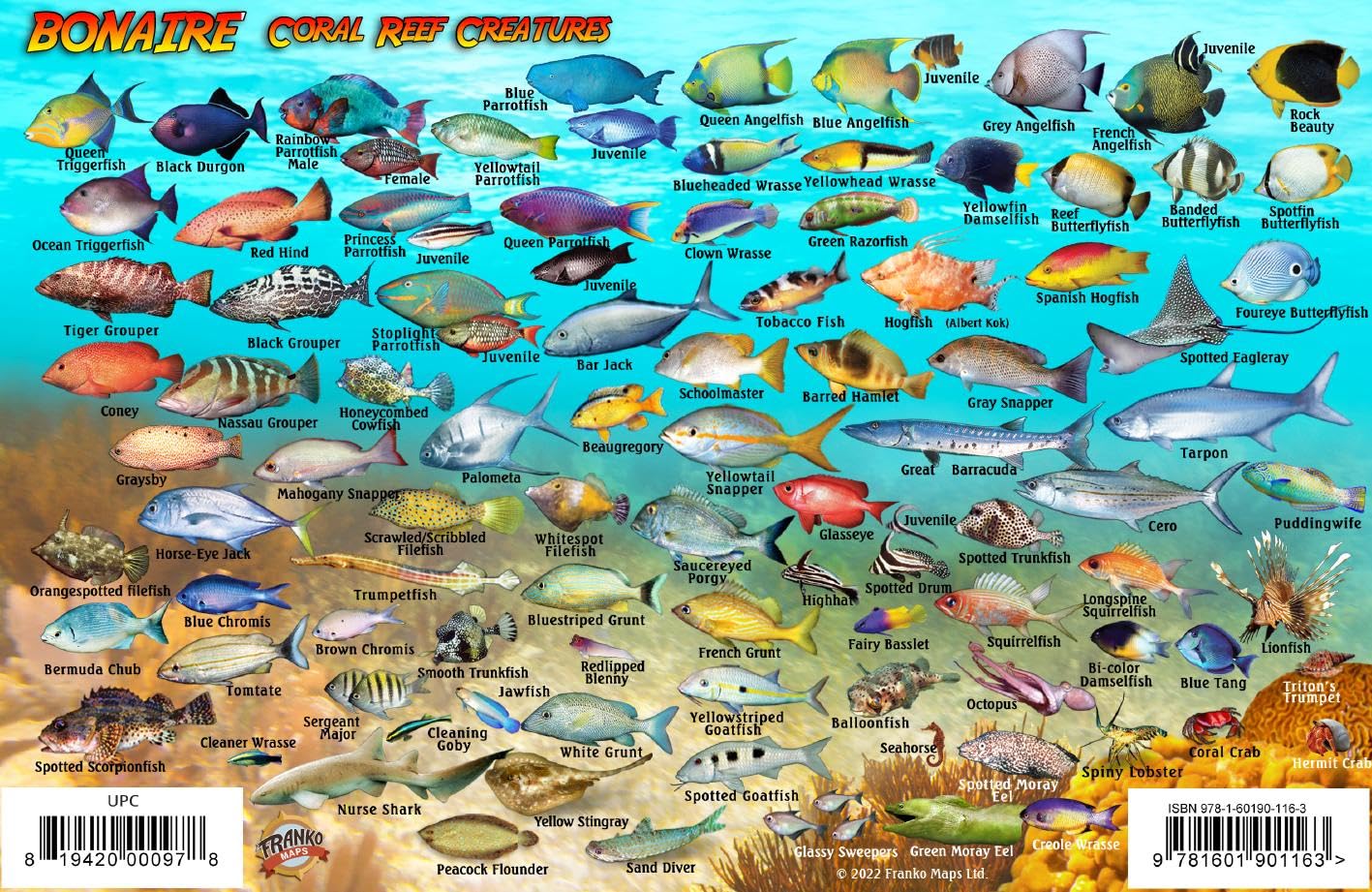 Snapklik.com : Franko Laminated Maps - Fish ID And Maps - Bonaire Scuba ...