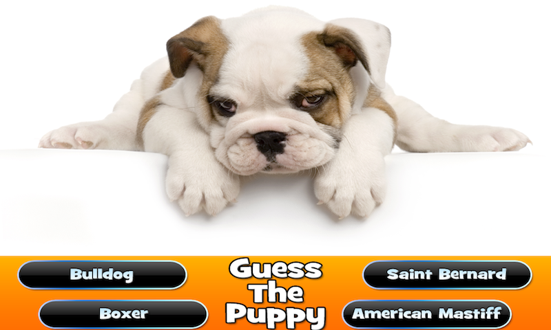 Guess The Puppy Breed - Trivia Game:Amazon.co.uk:Appstore for Android