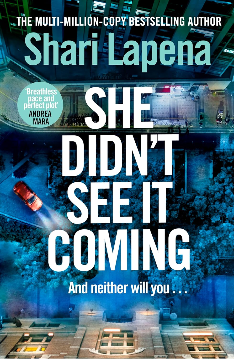 She Didn't See It Coming: The new psychological thriller from the ...