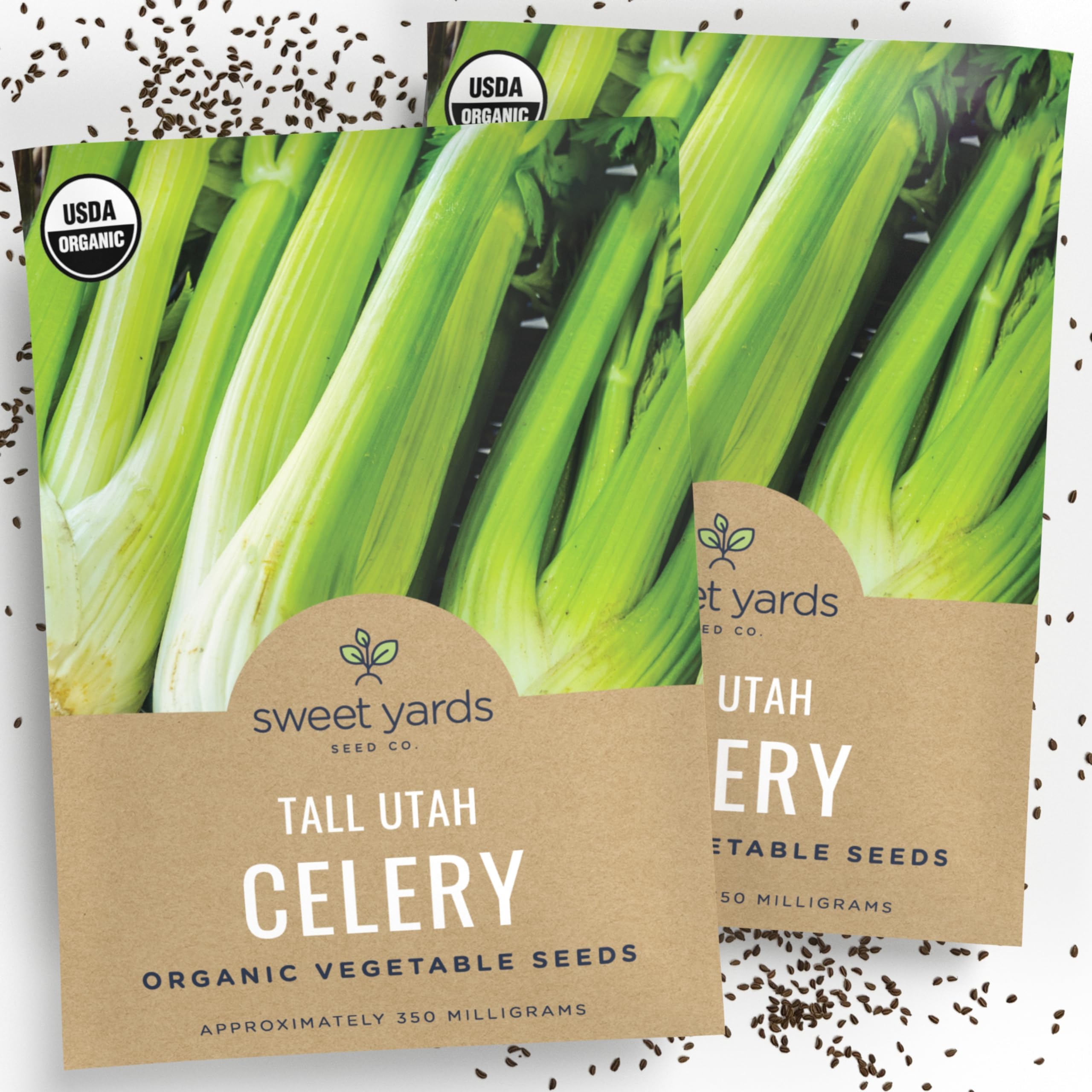 Amazon.com : Organic Celery Seeds ‘Tall Utah’ – Two Seed Packets ...