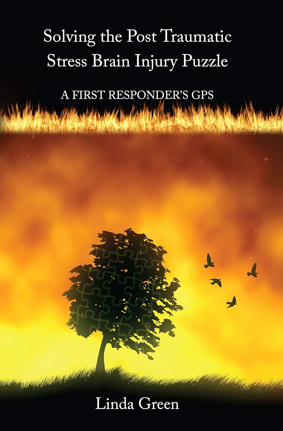 Solving the Post Traumatic Stress Brain Injury Puzzle: A First ...