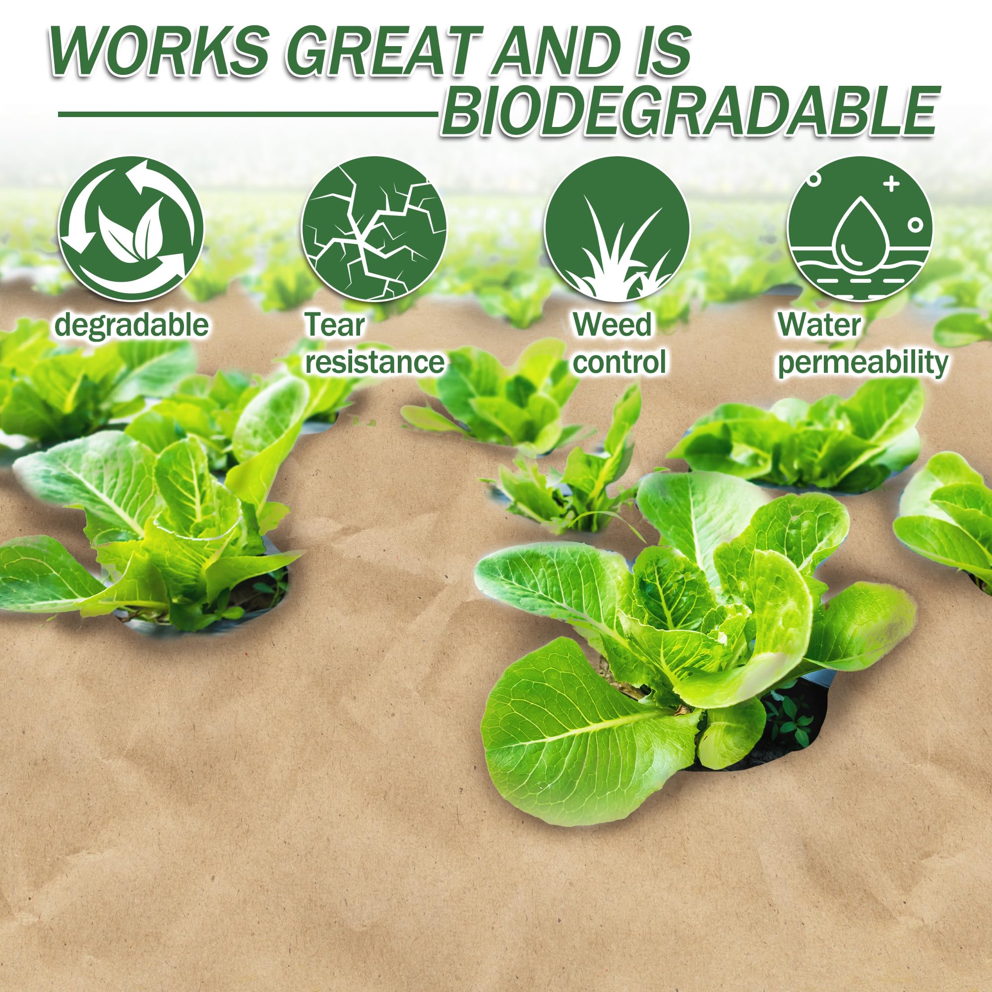 120 x 4 Ft Biodegradable...B0DRV13VSV | Encarguelo.com.ve