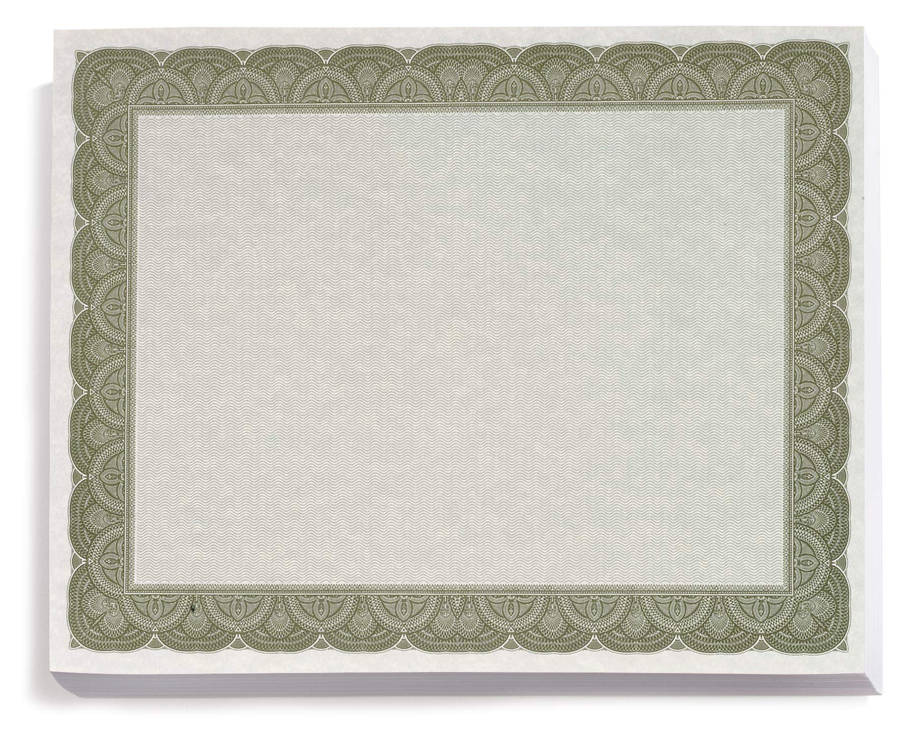 Amazon.com: PaperDirect Stratton Gray Standard Certificate Paper, Olive ...