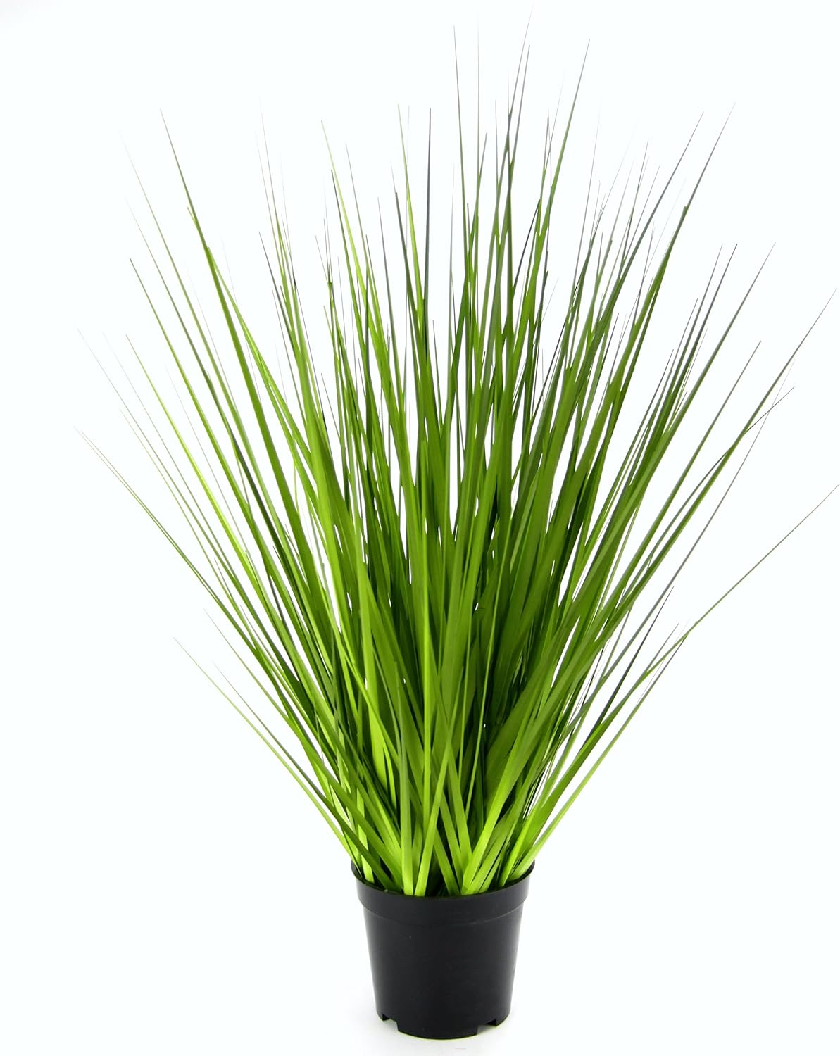 Flair Flower Gras Im Topf, Kunststoff, Grün, 60 x 20 x 20 cm: Amazon.de ...