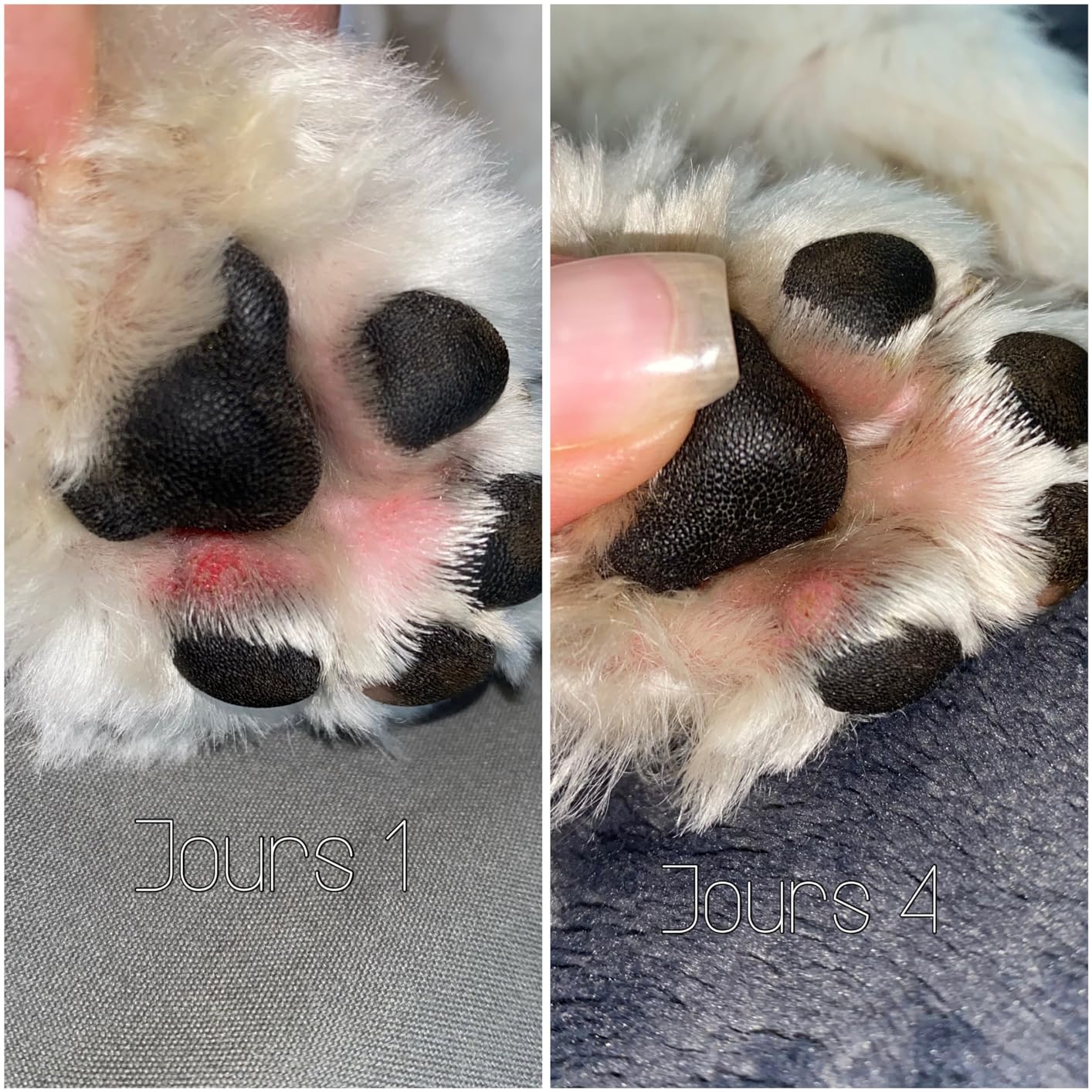 Naturpet Paw & Skin | 100% Natural Healing Cream for Dog Paws | 2 oz ...