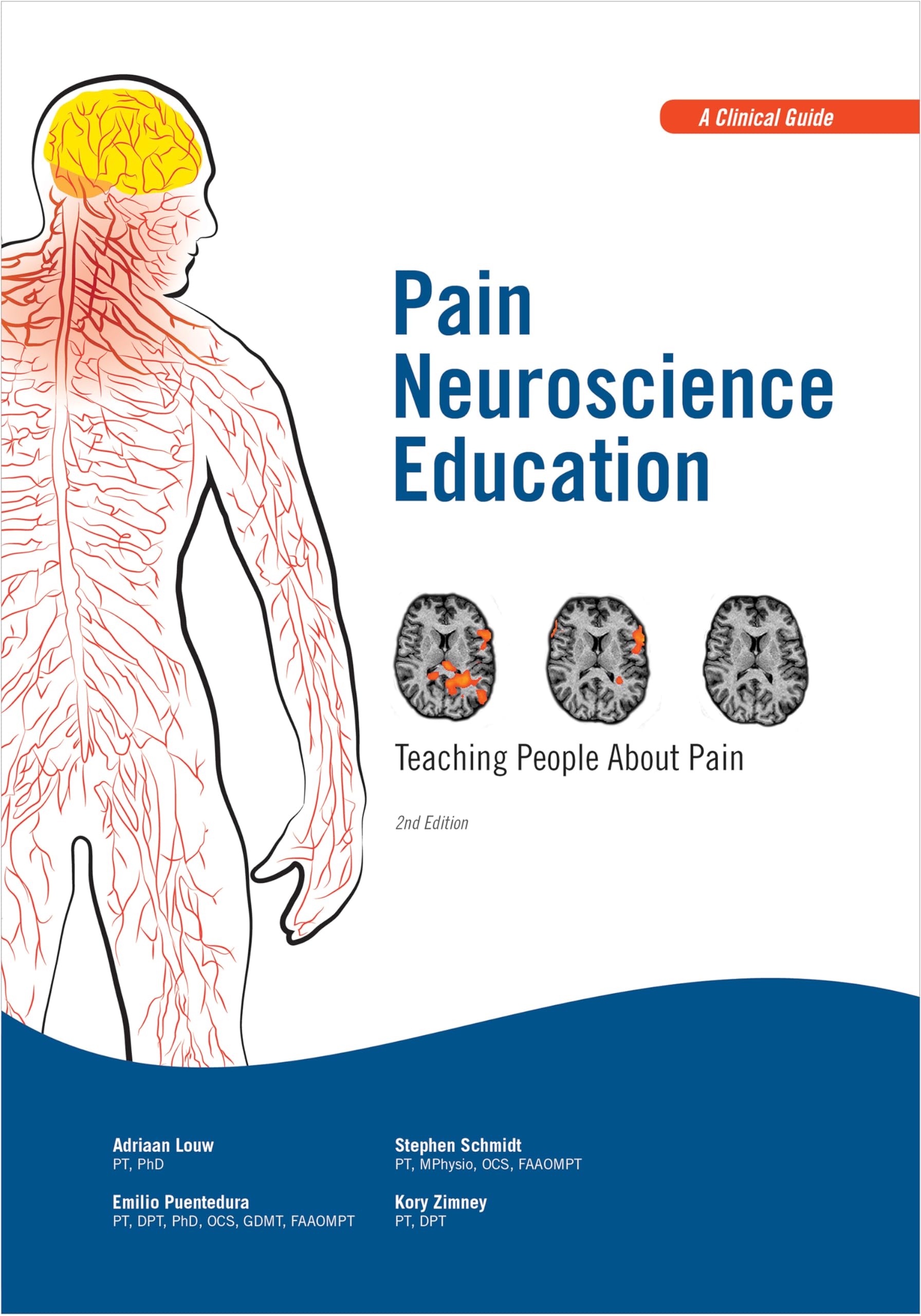 Pain Neuroscience Education: Teaching People About Pain: 9781942798118 ...