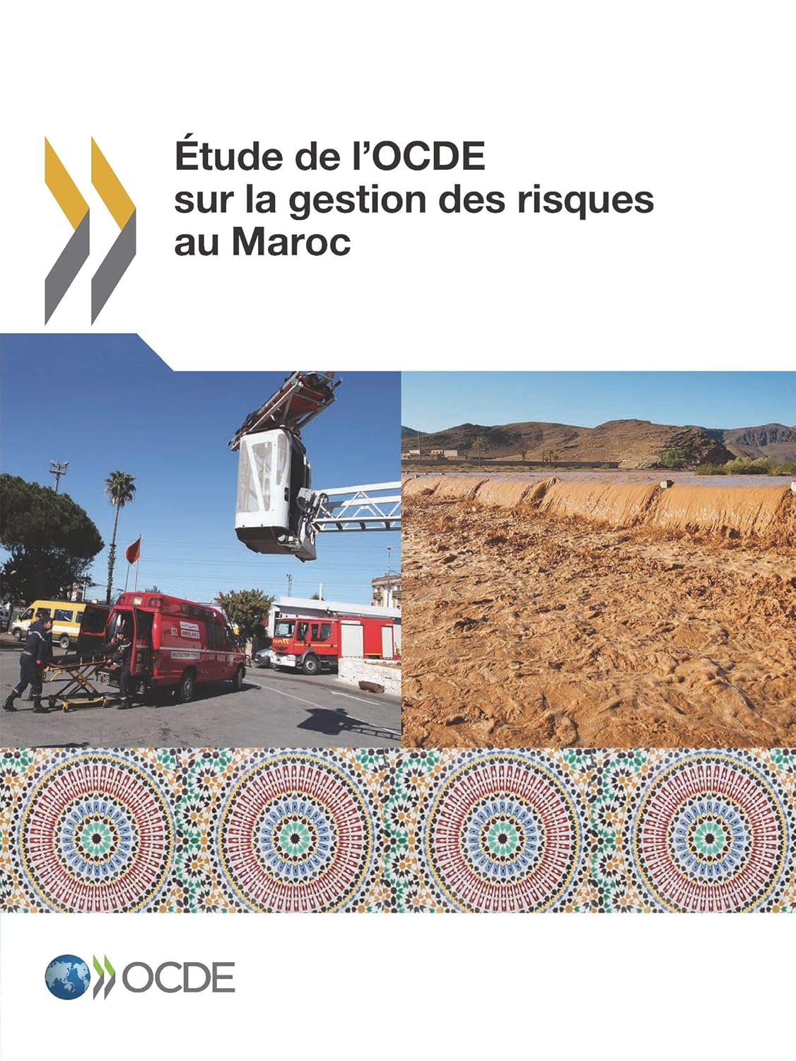 Buy tude de l'OCDE sur la gestion des risques au Maroc Book Online at ...