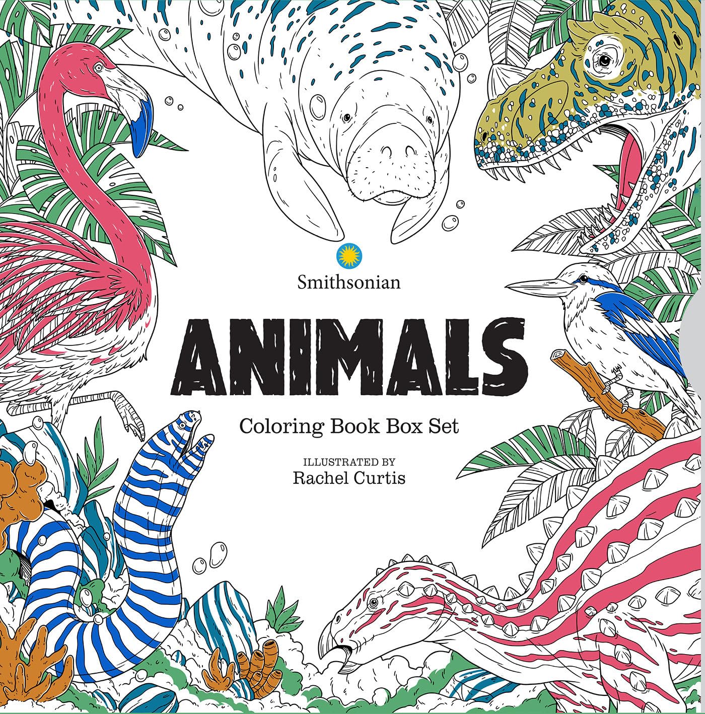 Amazon.com: Animals: A Smithsonian Coloring Book Box Set: 9798887241067 ...