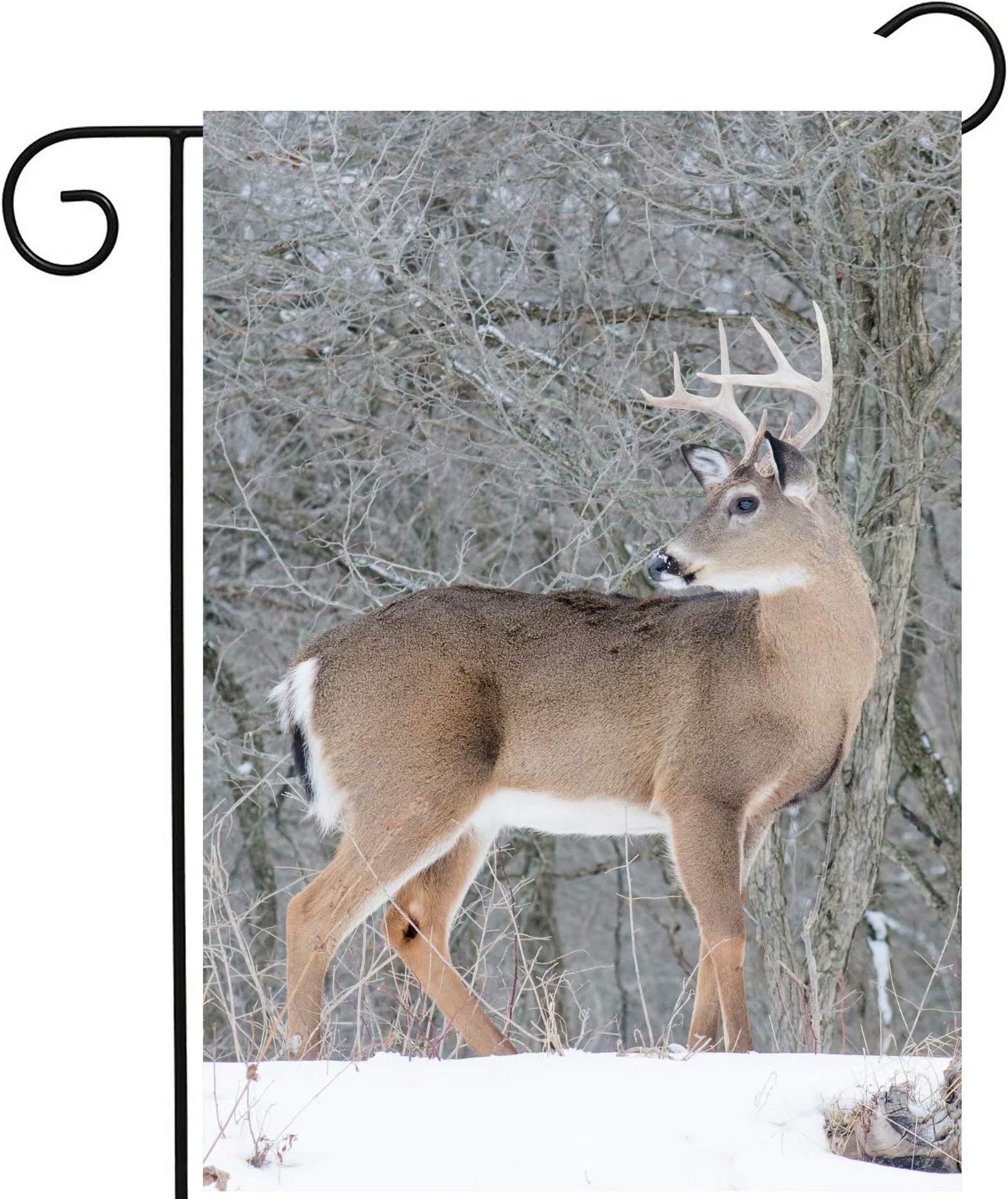 Amazon.com : TPHIHPT Fall Wild Deer Garden Flags 12x18 Inch Double ...