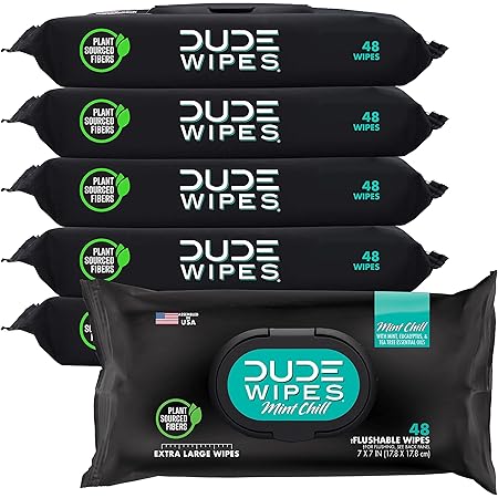 Amazon.com: DUDE Wipes - Flushable Wipes with DUDE Bombs Toilet Spray ...