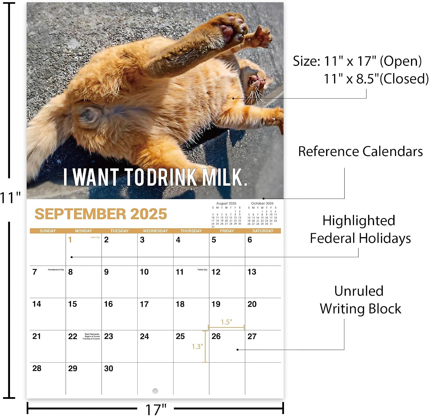 2025 Wall Calendar - Funny Calendar 2025 with Cat's Philippines | Ubuy