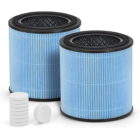 Amazon.com: AP0601 True HEPA Replacement Filter Compatible with AIRTOK ...