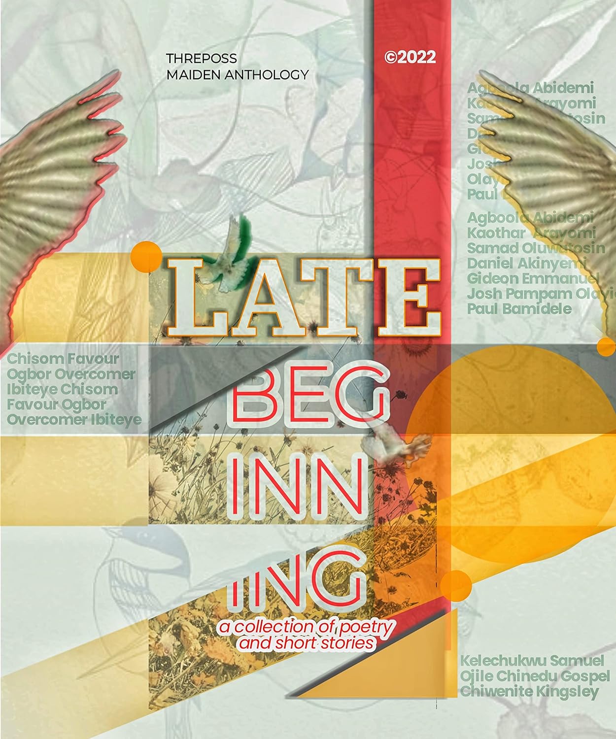 Amazon.com: Late Beginning: a collection of poetry and short stories ...