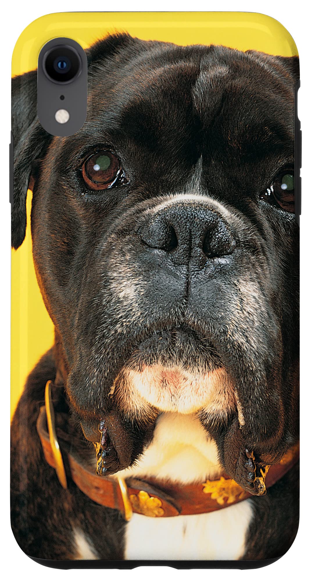 Cute Black Boxer Puppies