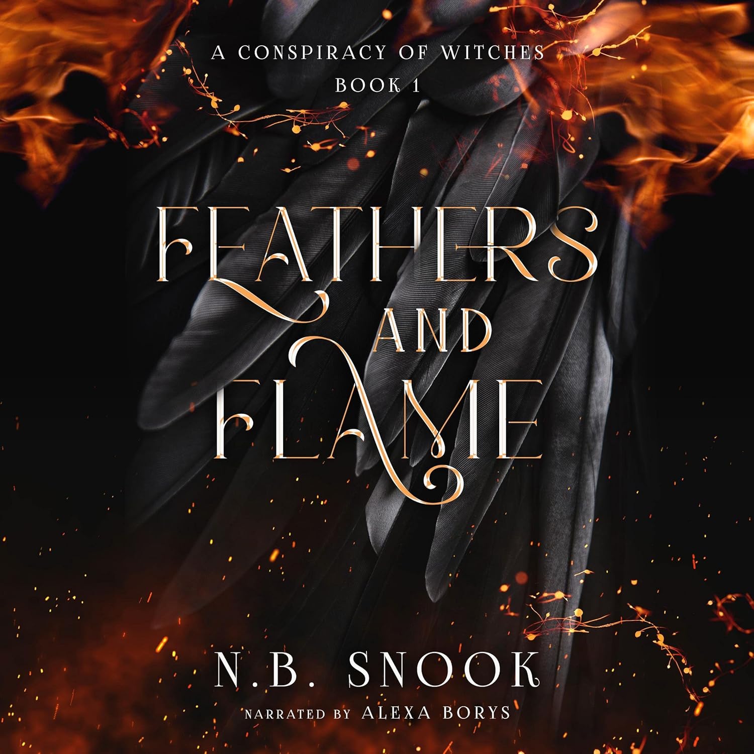Amazon.com: Feathers and Flame: A Conspiracy of Witches, Book 1 ...