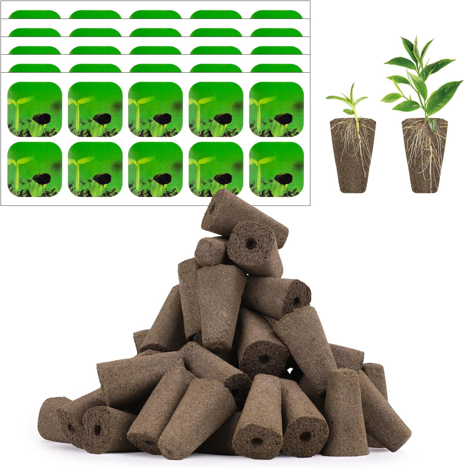 Amazon.com : GoorDik 50 Pack Seed Starter Pods for Indoor Hydroponics ...