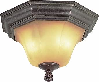 2 Light Antique Rust Ceiling Mount - Light Fixture - Amazon.com