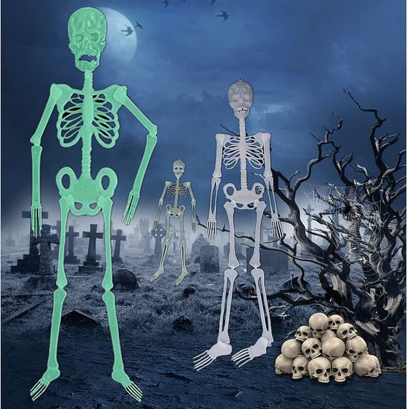 Amazon.com: climbing skeletons