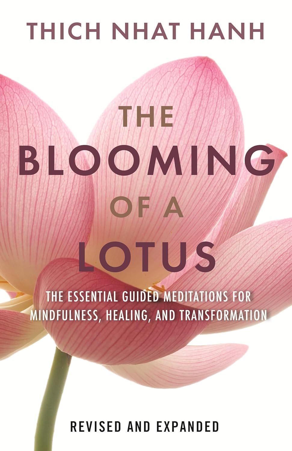 The Blooming of a Lotus REVISED & EXPANDED: Essential Guided ...