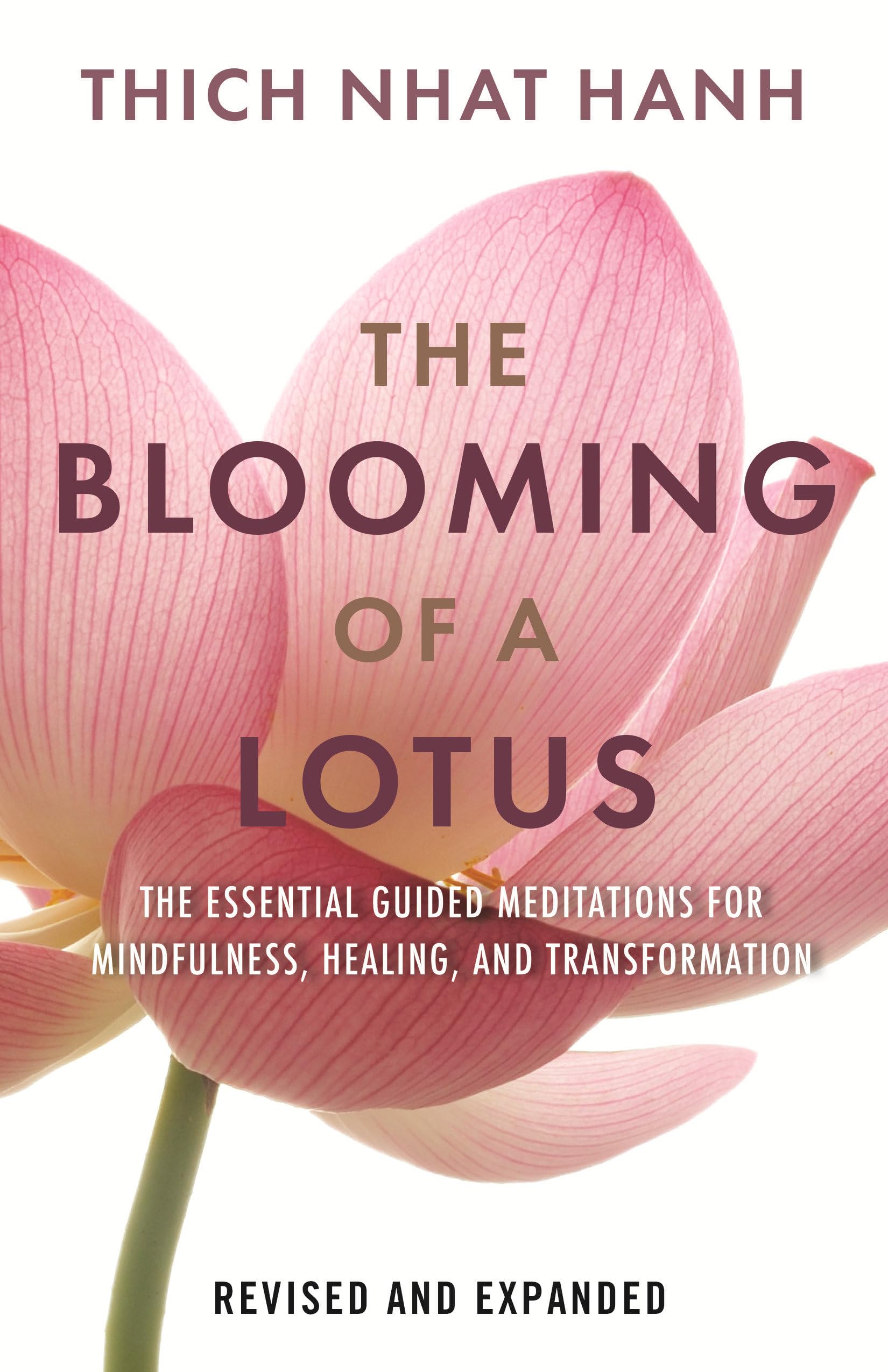 Amazon.com: The Blooming of a Lotus: Essential Guided Meditations for ...