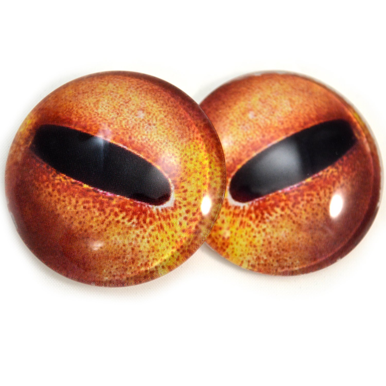Octopus Eyes