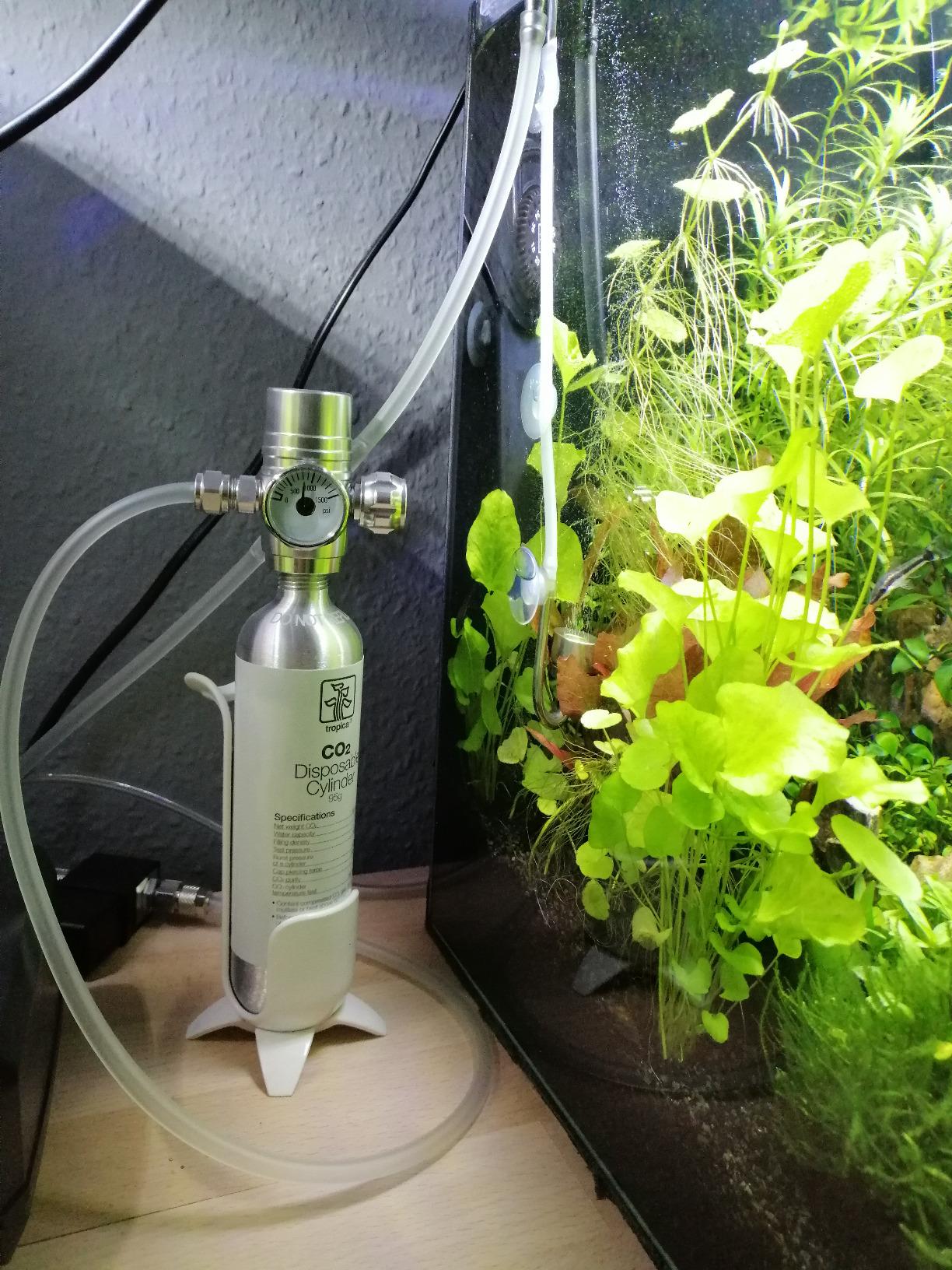Aquarium Mit Co2 Anlage