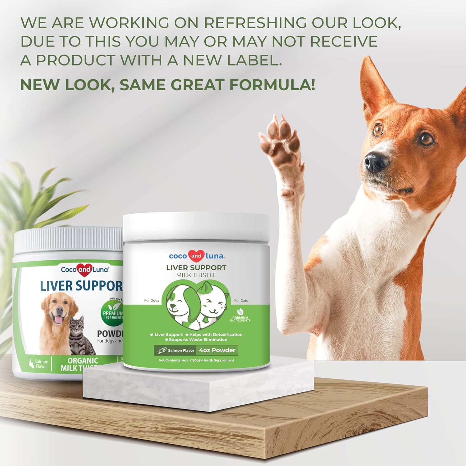 Is Milk Thistle Good For Dogs With Liver Disease