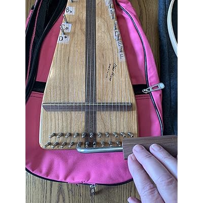 USA-Made Cherry Bowed Psaltery with 22 Strings in Nepal at NPR 60986 ...