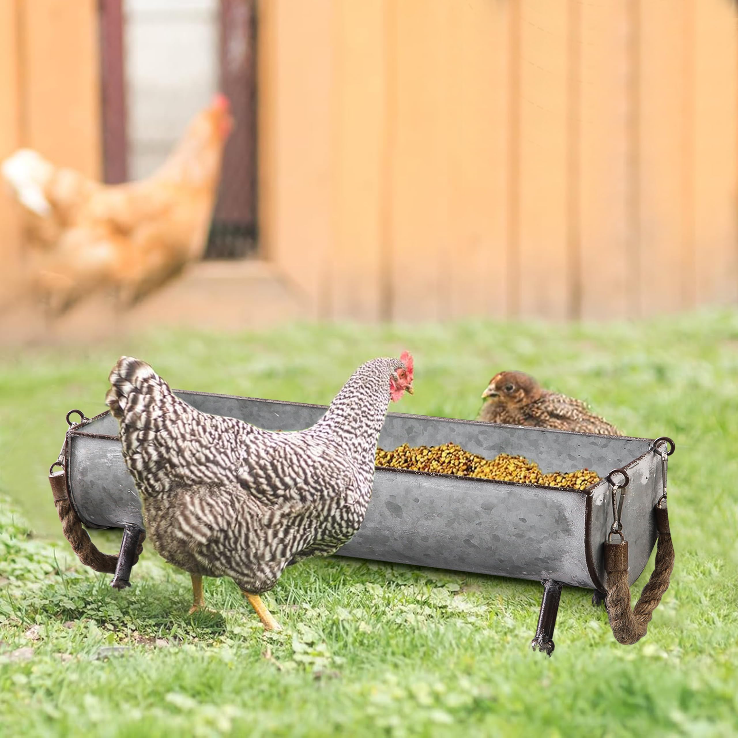 Amazon.com : SOFE Poultry Feeder Galvanized Metal Chicken Feeder Set of ...