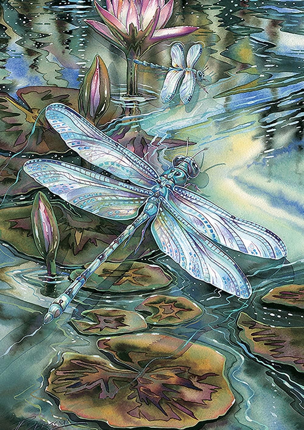 Amazon.com : Toland Home Garden 1112328 Dragonfly and Pond Dragonfly ...