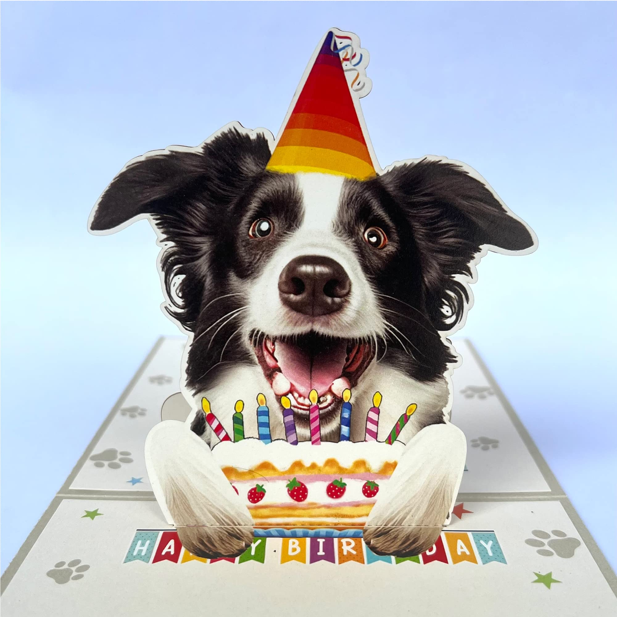 Surprise Birthday Border