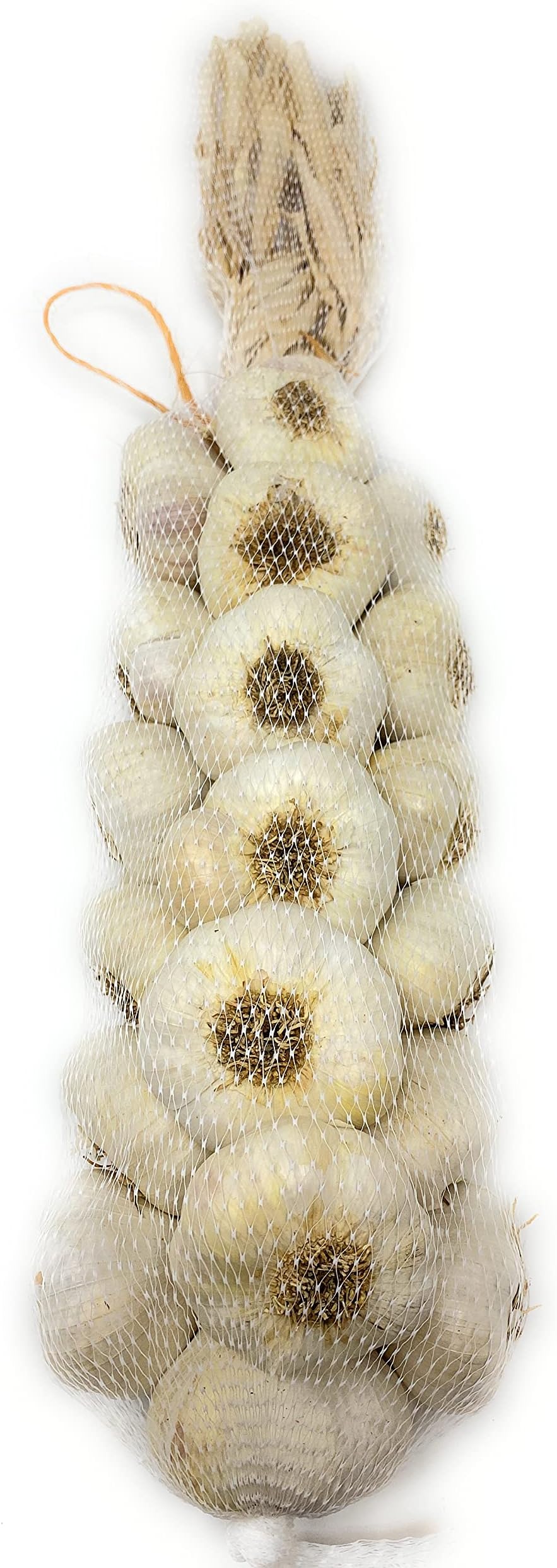 Amazon.com: Garlic Braid - 19 Bulbs - California Grown : Grocery ...