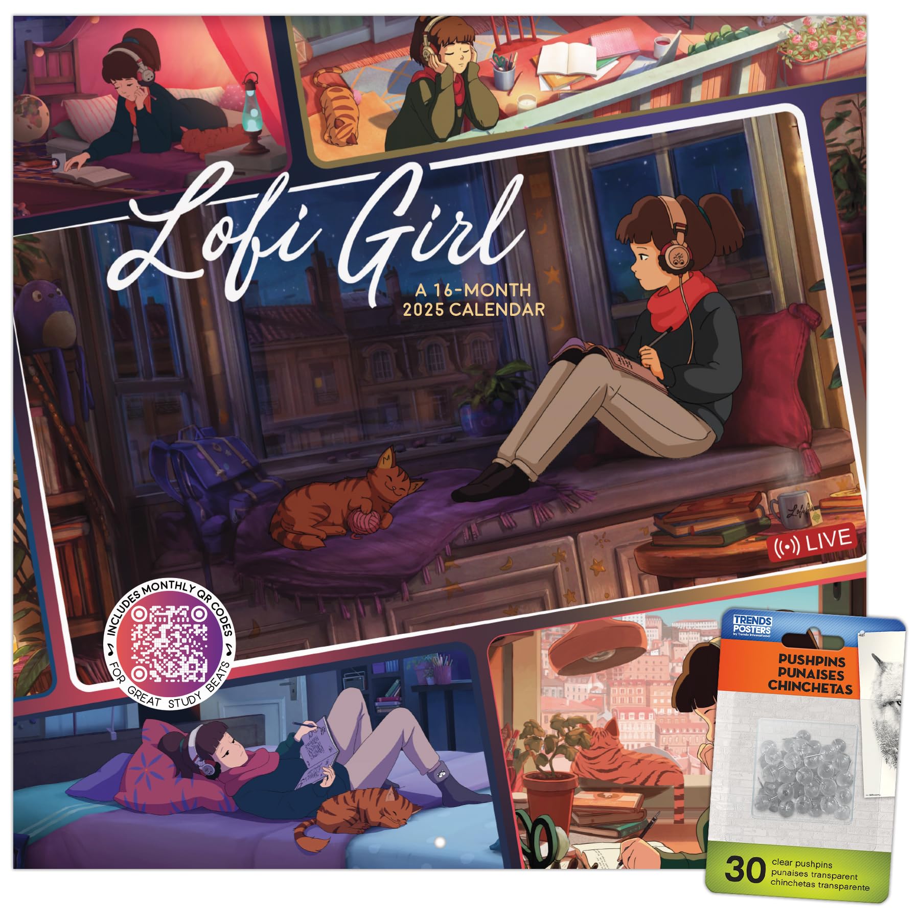 Amazon.com: 2025 Lofi Girl Wall Calendar & Push Pins : Office Products