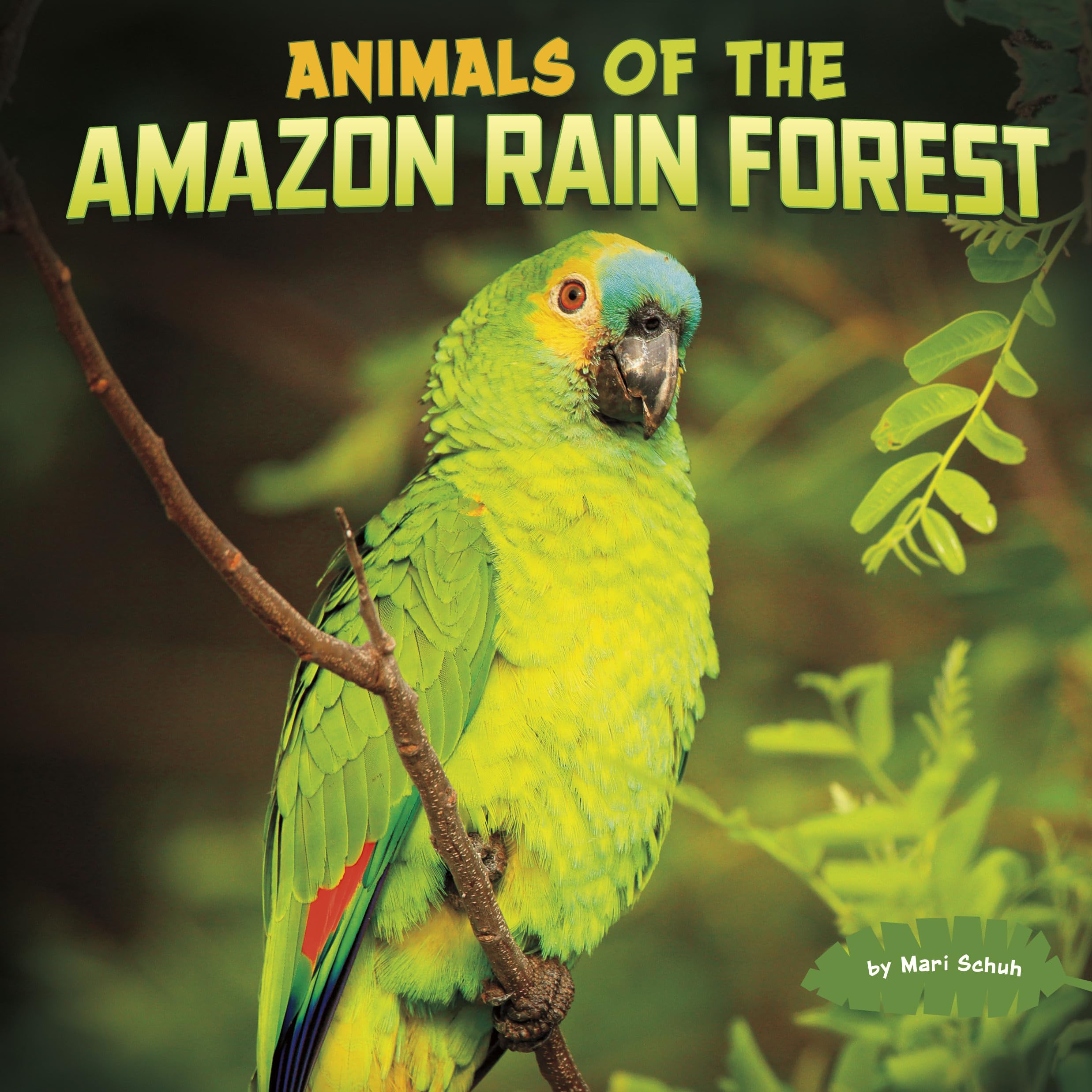 Animals of the Amazon Rain Forest (Wild Biomes): Schuh, Mari ...
