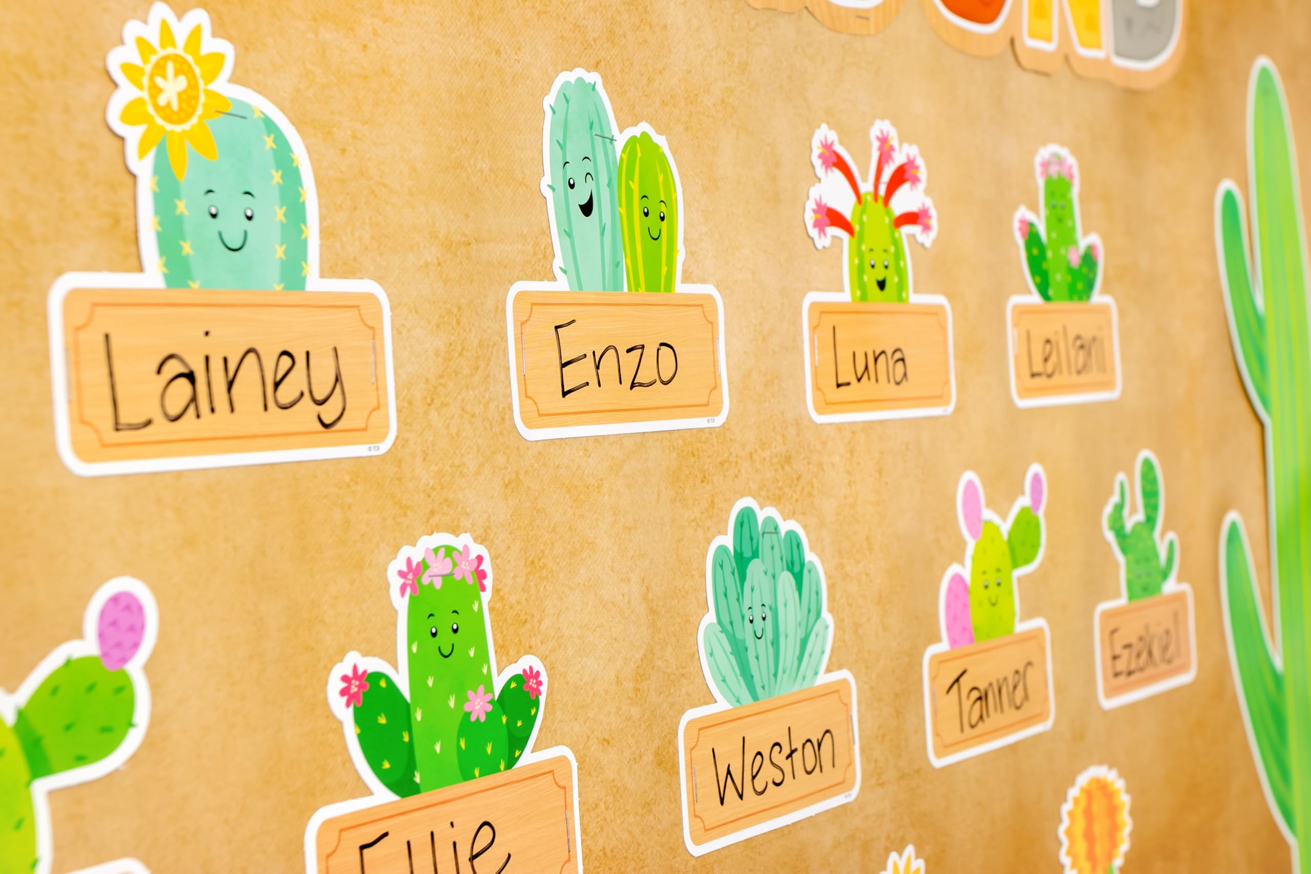 Wildflowers Classroom Decor Teacher Created Resources Happy Cactus Crew ...