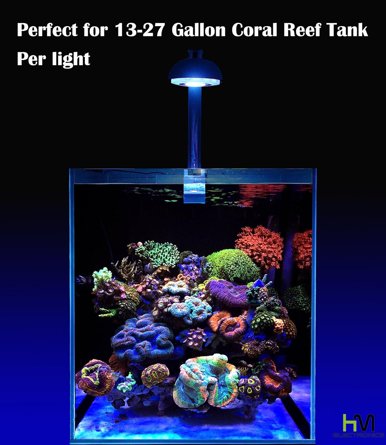 HM ELECTRONICS Cetus 2SP – Luz de arrecife LED inteligente individual ...