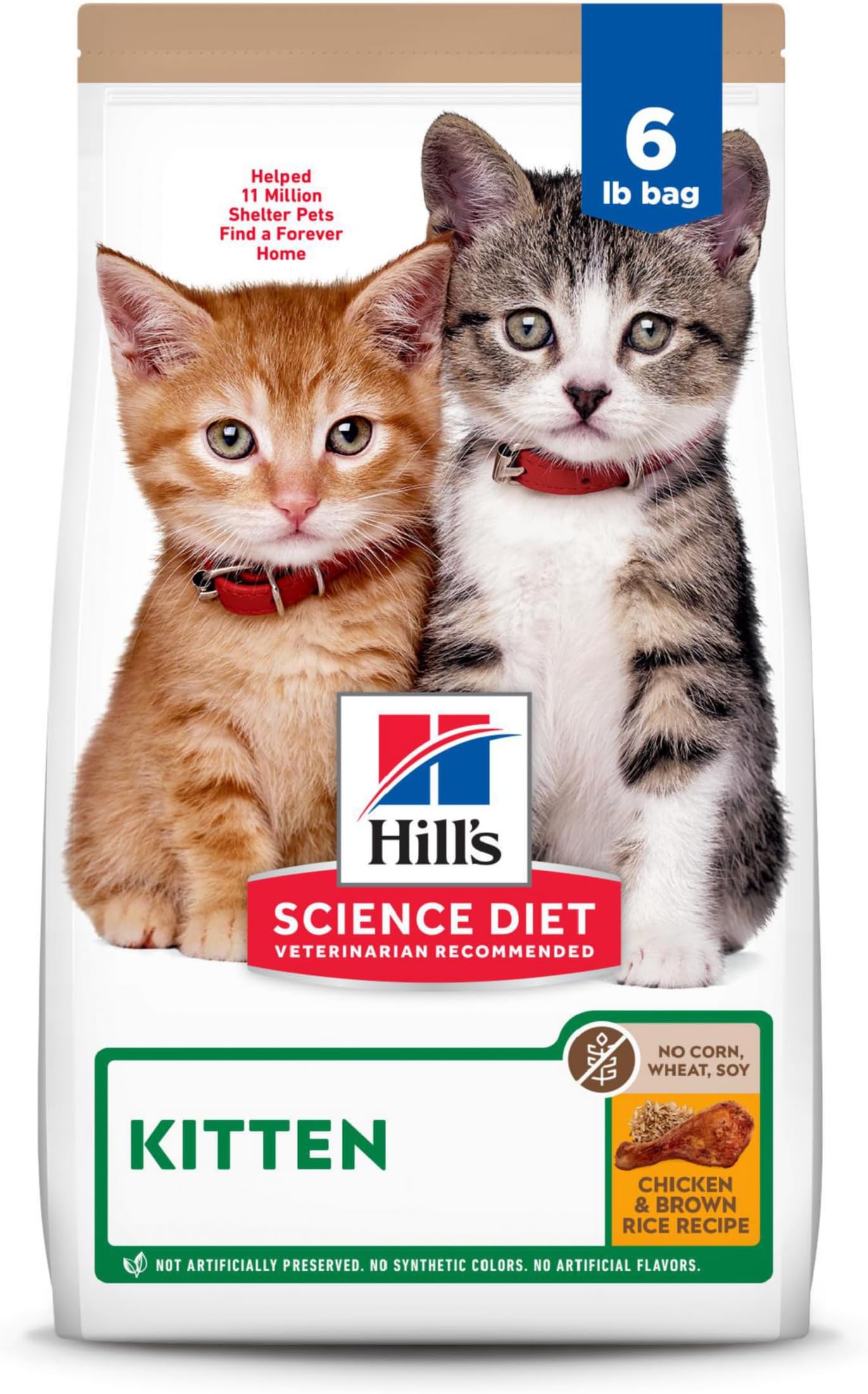 Amazon.com : Hill's Science Diet Sensitive Stomach & Skin, Kitten ...
