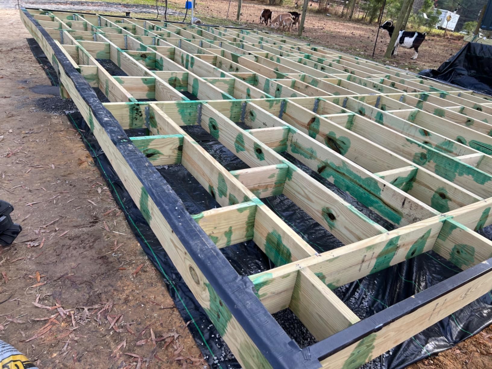 Tenino Copper Naphthenate 17% (2% as Metal) - 1 Gallon - Wood ...