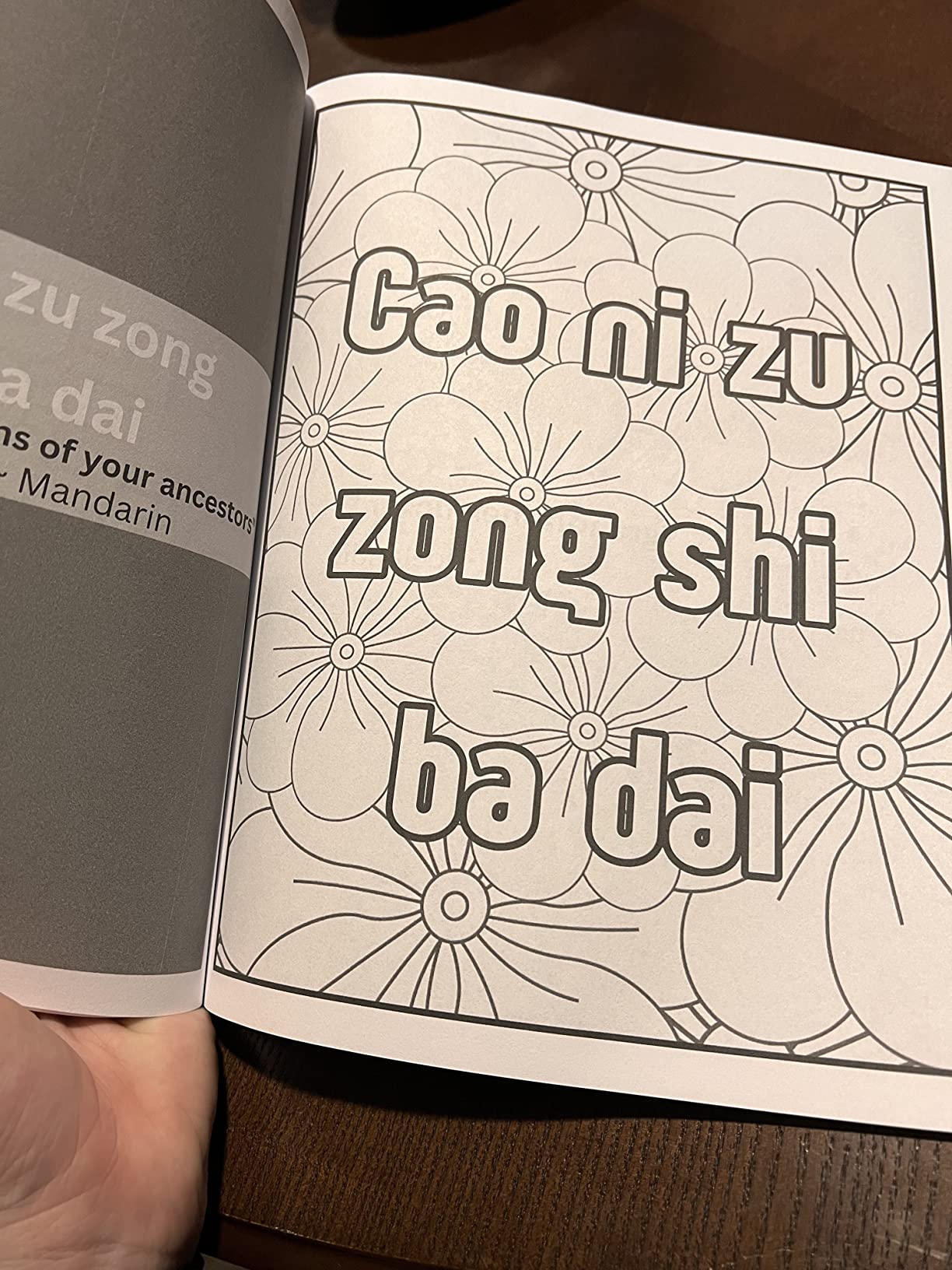 Amazon.com: Swear Word and Funny Insult Coloring Book: International ...