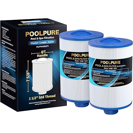 Amazon.com : POOLPURE 4CH-23 Spa Filter Replaces PFF25TC-P4, Lifesmart ...