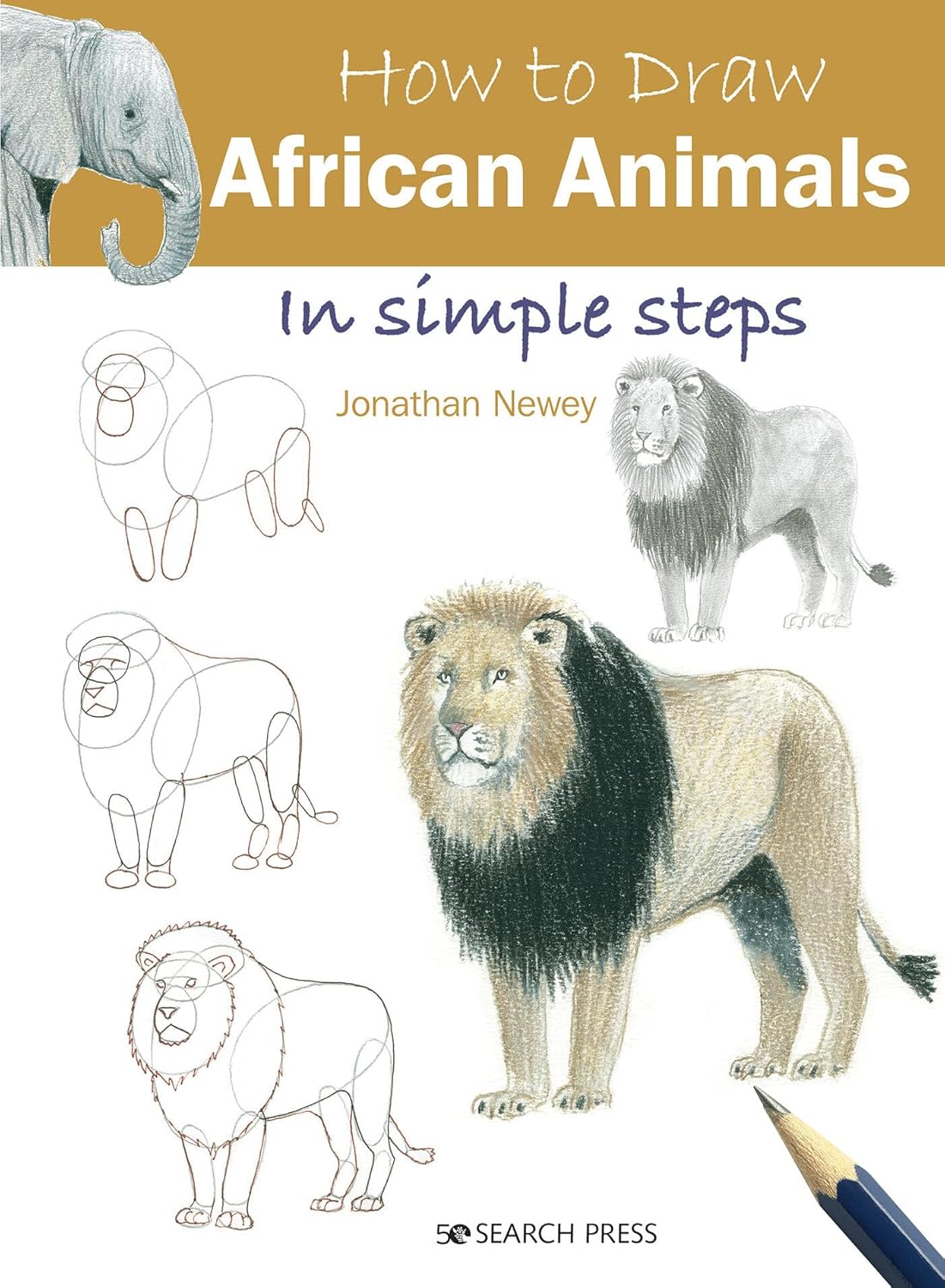 How to Draw African Animals in simple steps: Newey, Jonathan ...