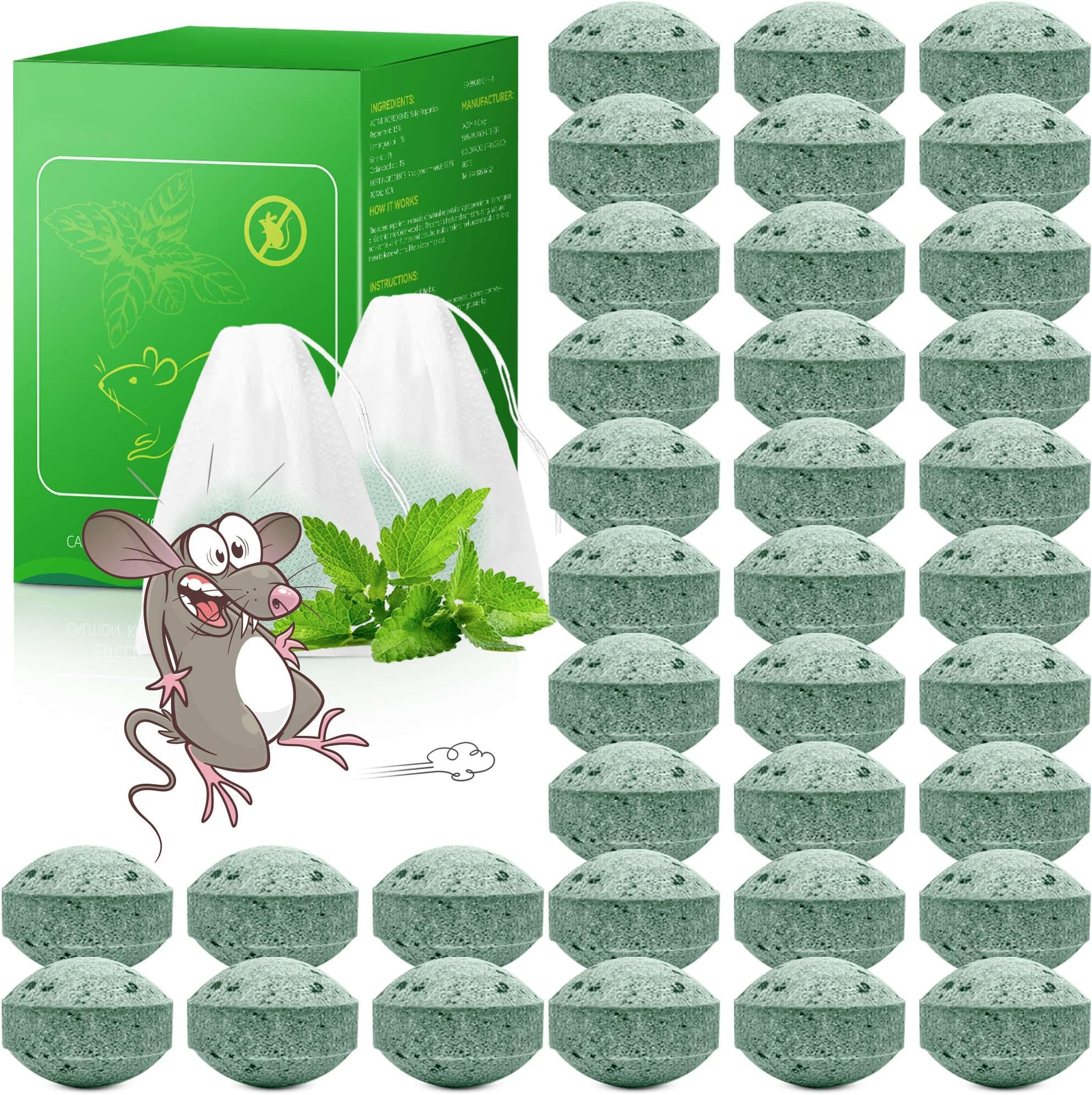 Amazon.com: 36 Pack Peppermint Mouse Repellent Indoor, High-Strengthen ...