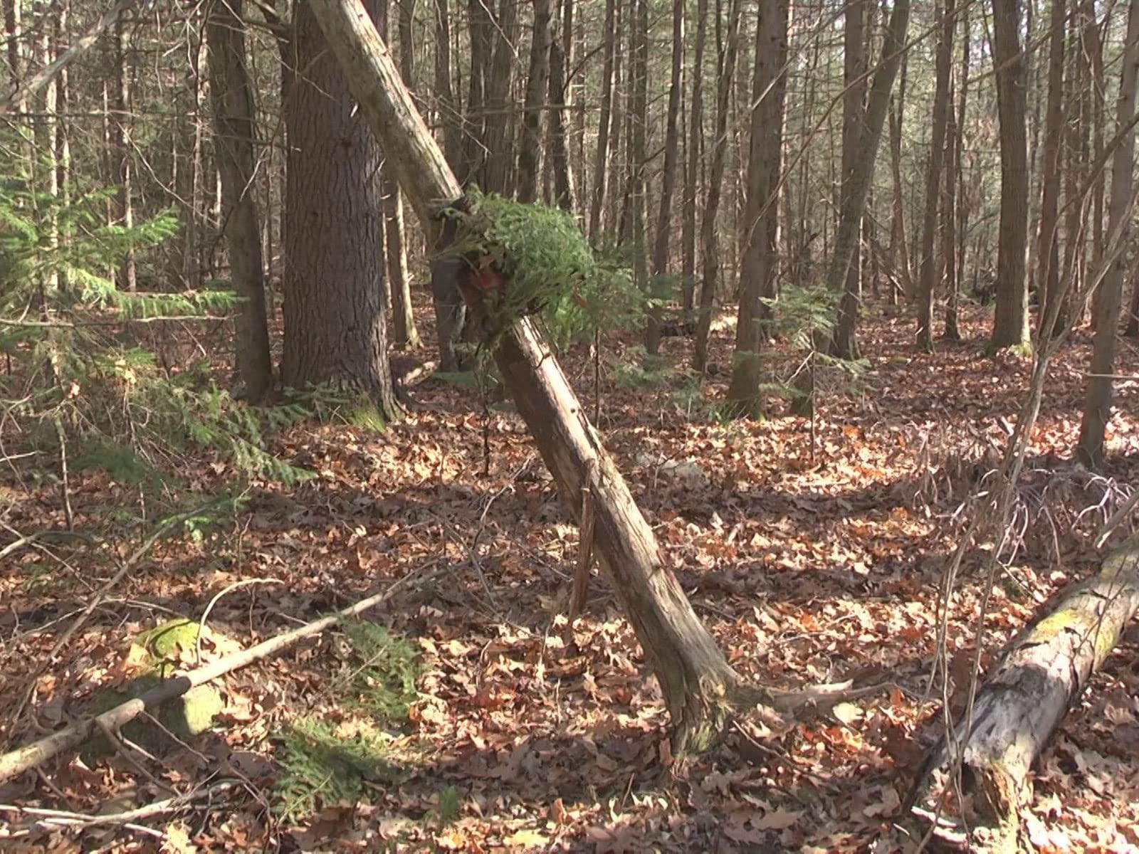 Watch North American Trapper - Season 1 | Prime Video