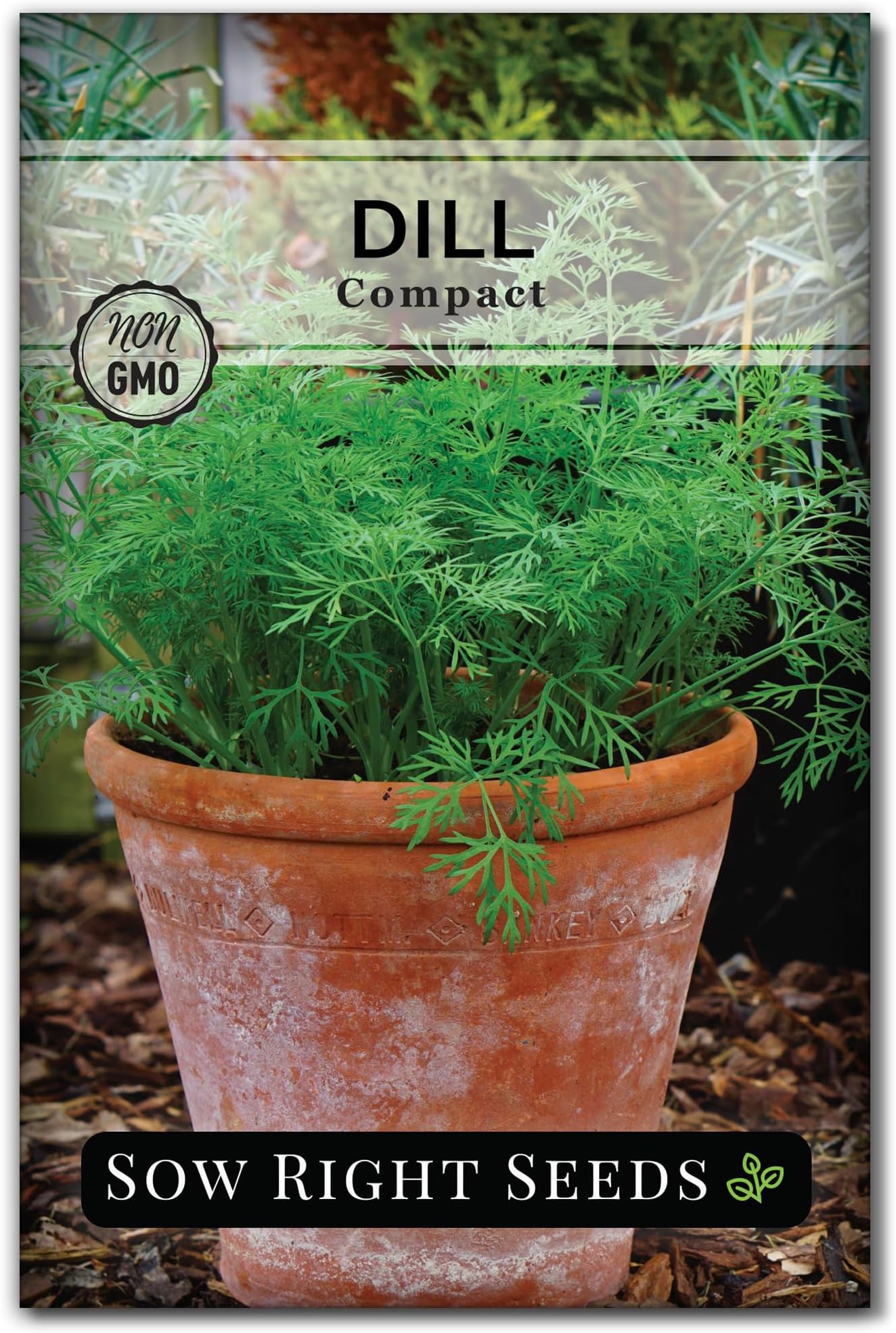 Amazon.com : Sow Right Seeds - Compact Dill Seeds for Planting - Non ...